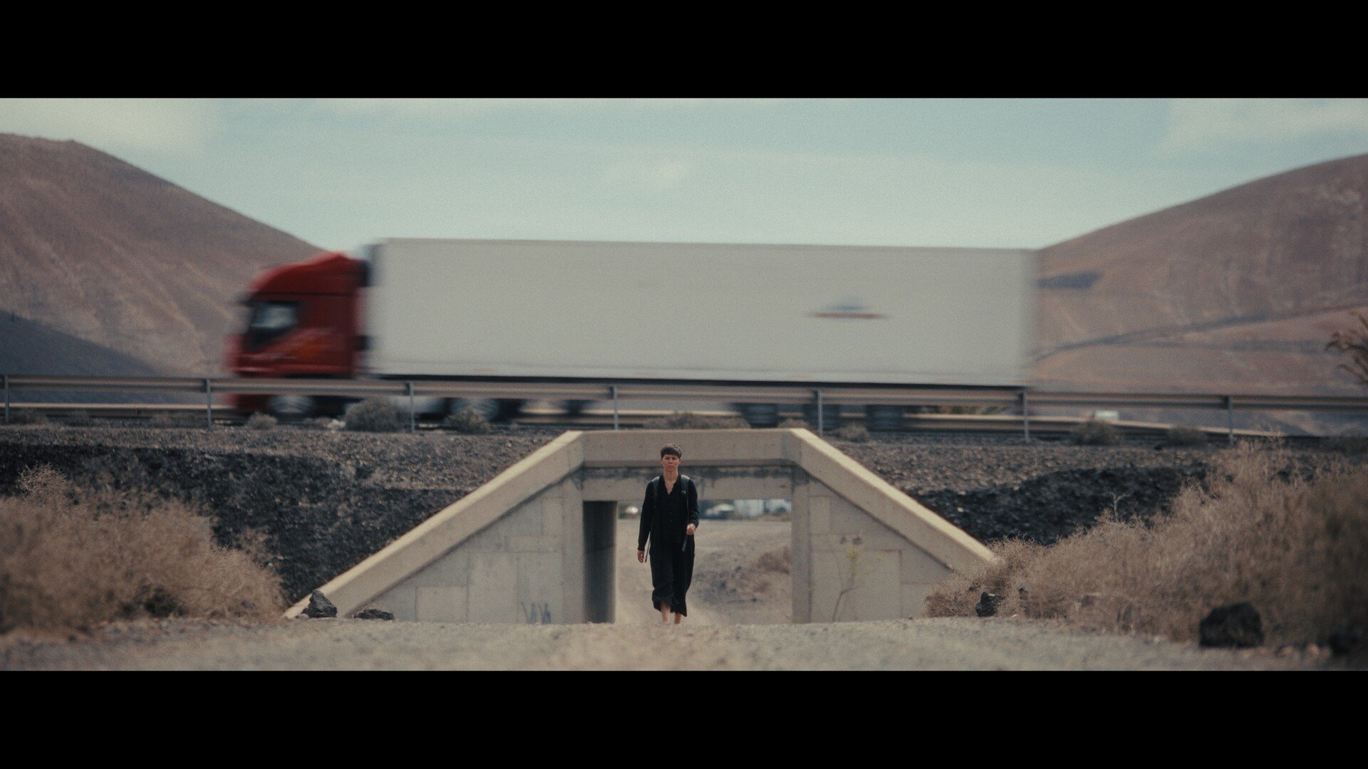 LIFF 2025 REVIEW: SIGNS OF LIFE – What Movie